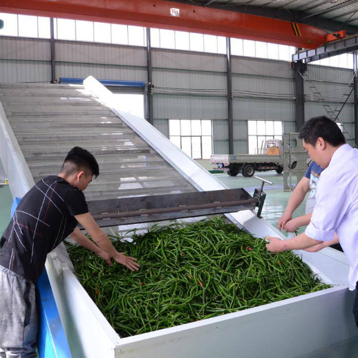 Mesh Belt Dryer - Fodamon